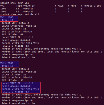 Asymmetric IRB EVPN Testing in SONiC - Hardware Nation